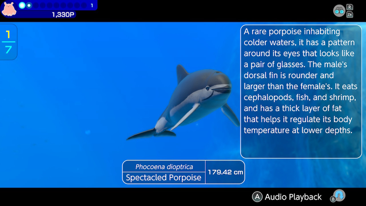 Endless Ocean Luminous on rentouttavan rujo Arvio - Gamereactor