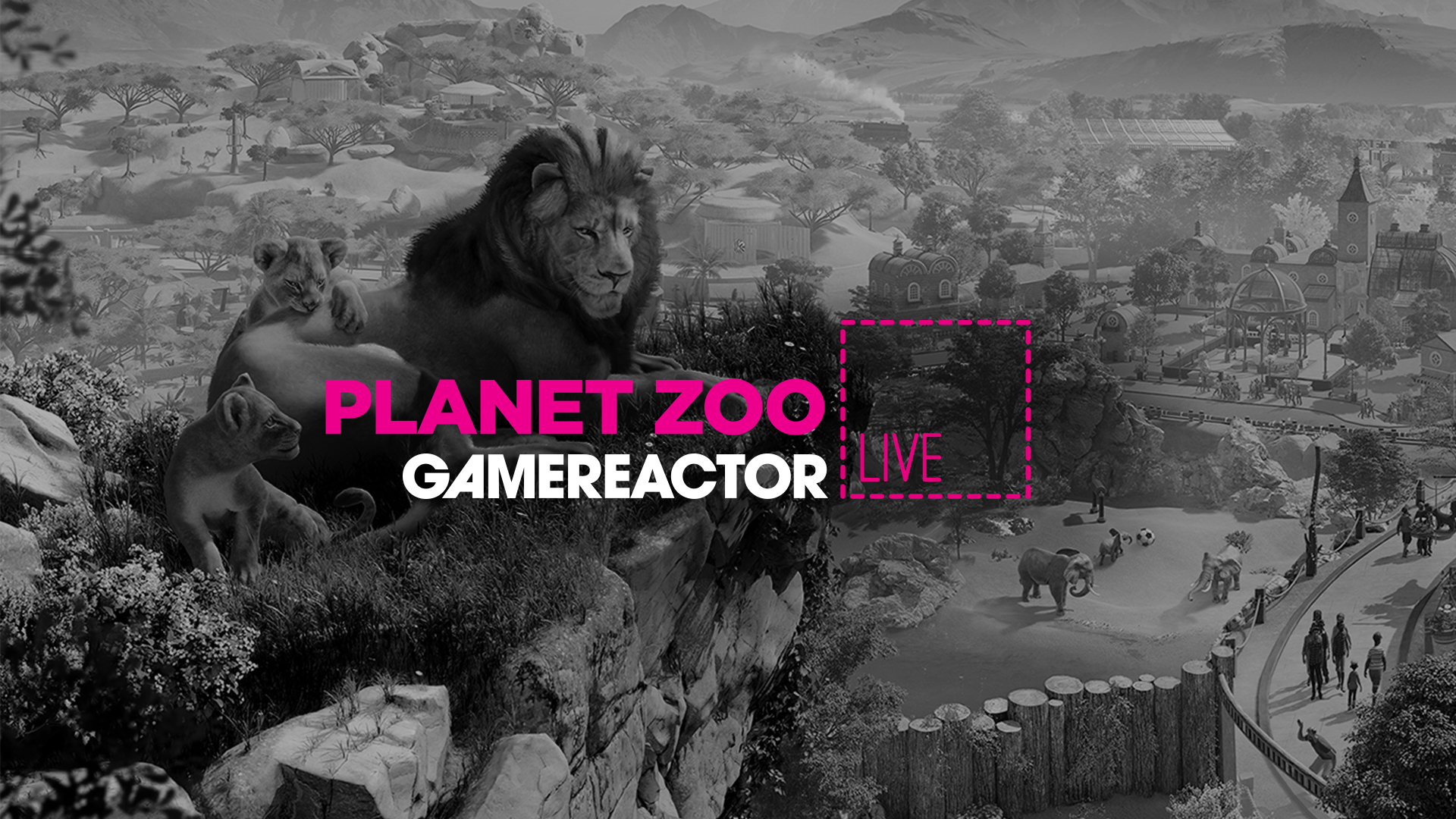 GR Livessä tänään Planet Zoo